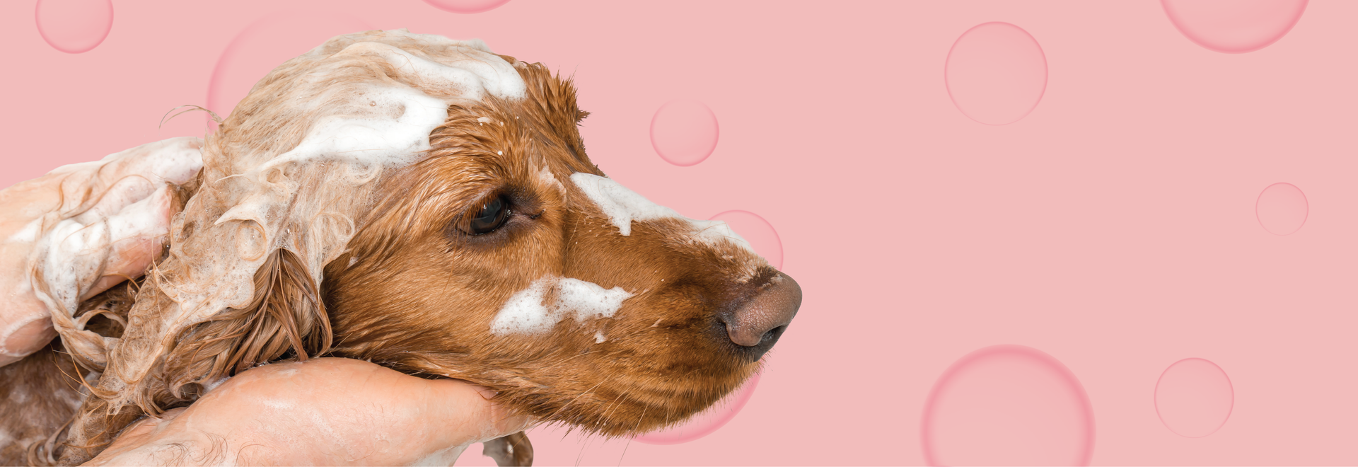 Lillian Ruff - Professional Quality Pet Products